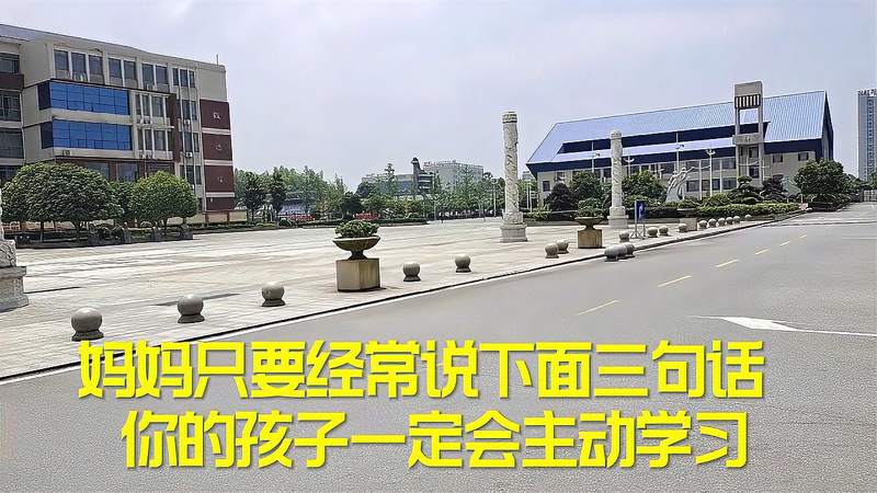 妈妈只要经常说下面这三句话你的孩子一定会主动学习!