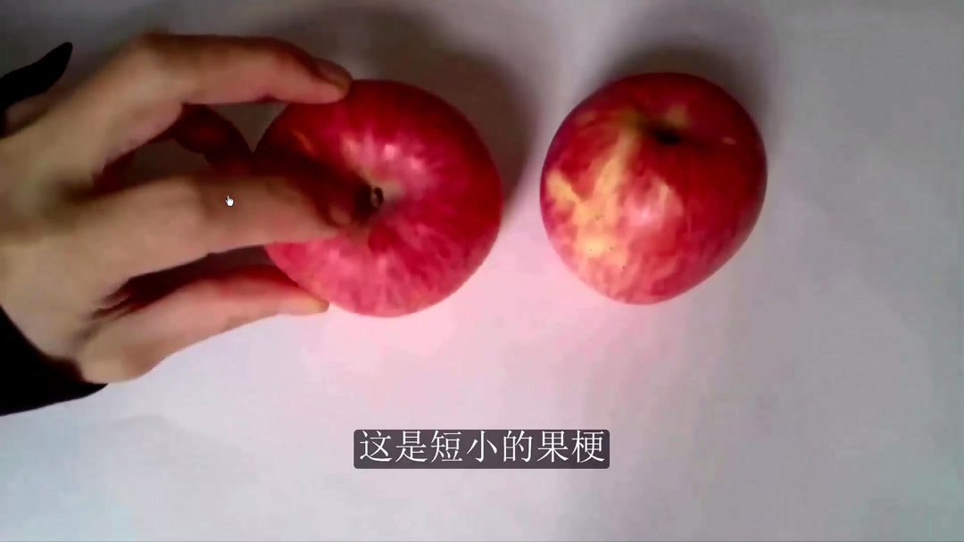 儿童简笔画:苹果