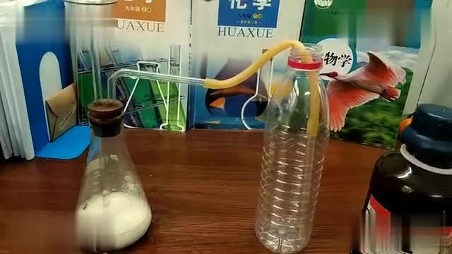 二氧化碳的制取与性质(化学小莫)