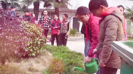 和平楼小学爱绿护绿活动