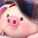 猪头波波波566335 