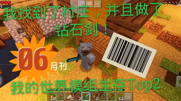 我的世界模组生存Top2 我找到了村庄并且做了钻石剑 面粉说游戏