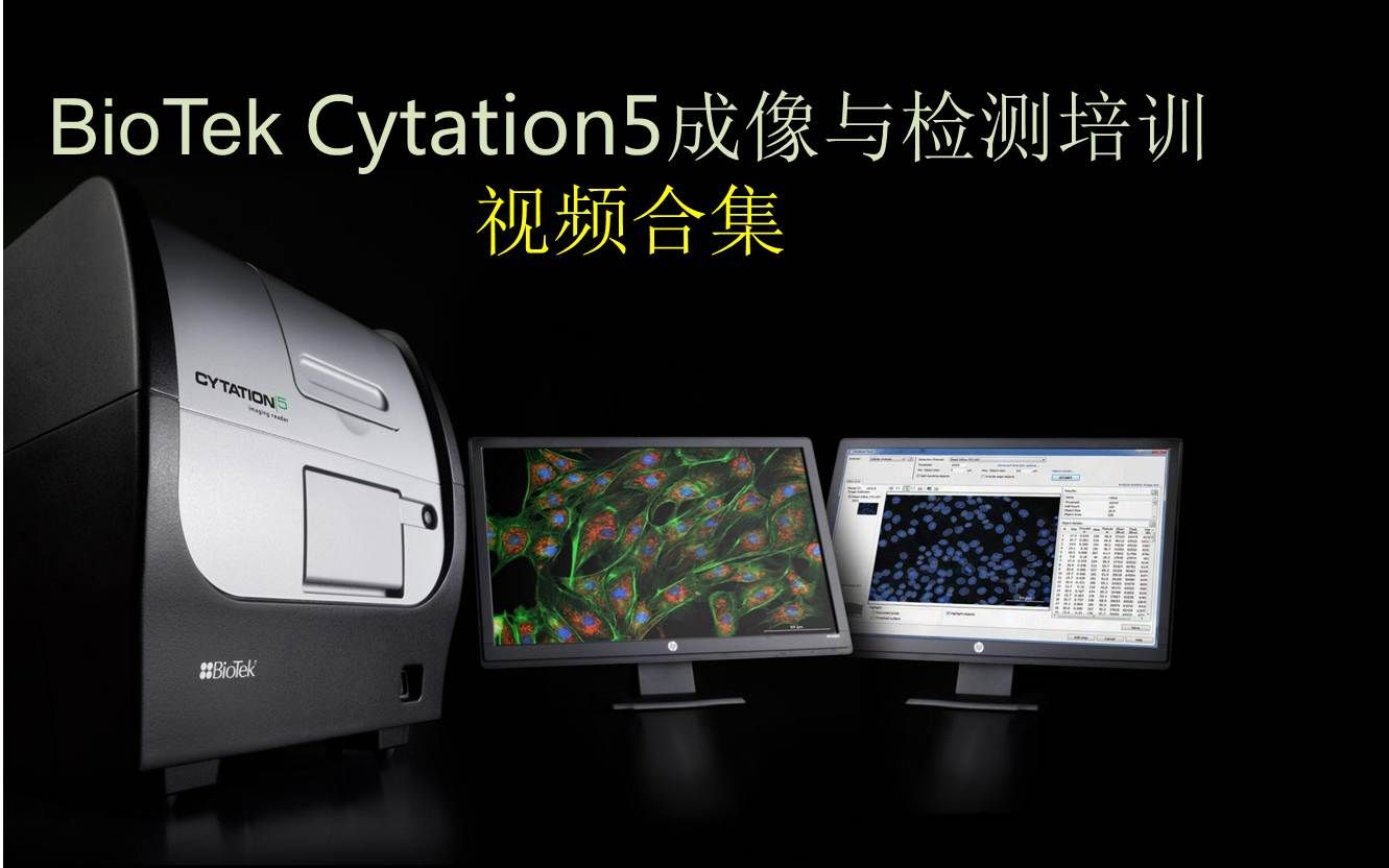 BioTek Cytation5 2-手动模式的图像分析和细胞计数-亚群分析