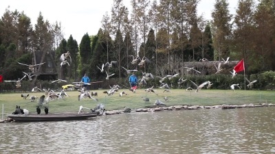穿暖花开,去上海野生动物园看鸟去