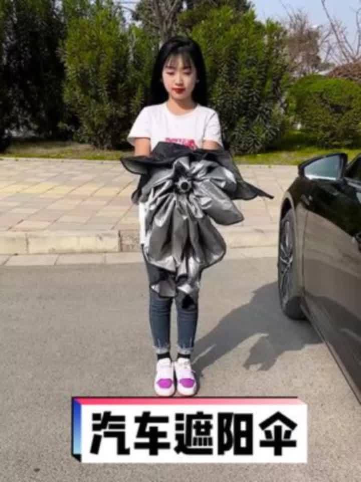 车主夏天福音 汽车遮阳伞
