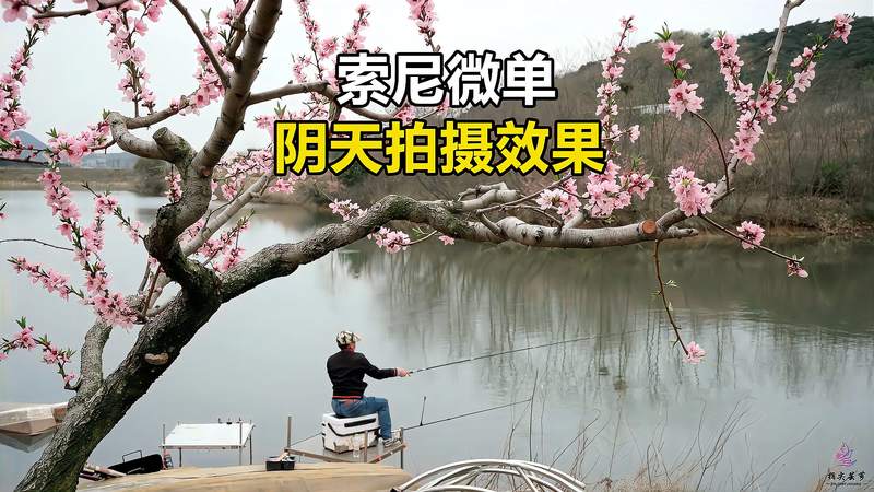 上山踏青赏春,用索尼微单拍视频,看看阴天的拍摄效果如何