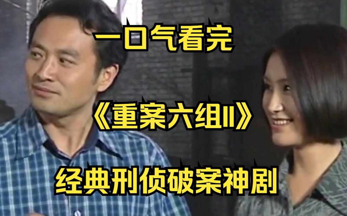 一口气看完《重案六组》第二部,经典刑侦破案神剧,多个真实案例,破案...