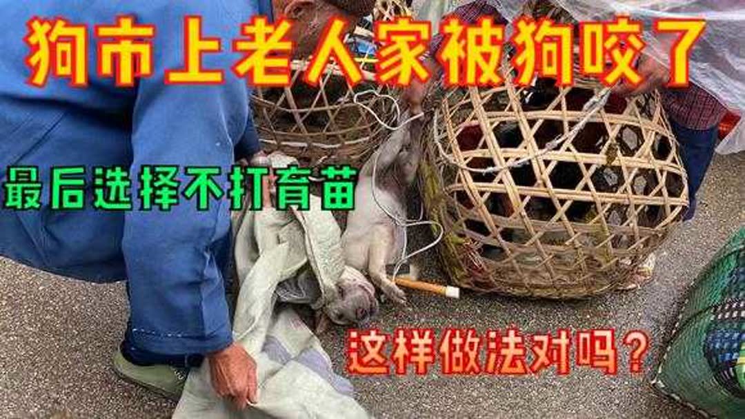 老人家在狗市被狗贩子害被狗咬了!狗贩子既然不赔偿!