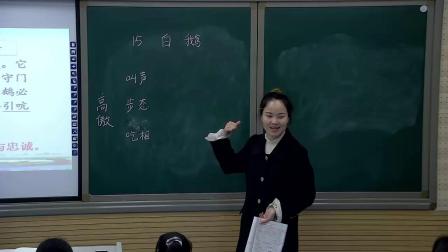 教学大练兵 龙蟠小学 课堂实录 陈婷 《白鹅》