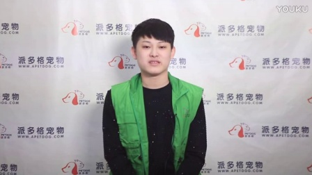 上海宠物美容学校排名