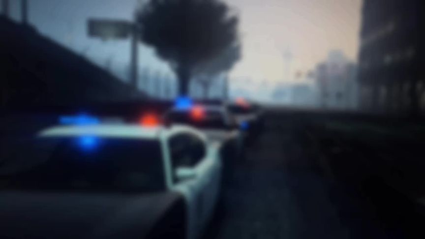 “游戏还是现实已经分不清”#给他爱好市民 #警察mod #疫情 #防疫