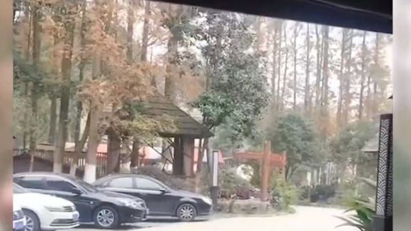 六旬老人疑被自家狗咬伤送医后死亡,邻居:咬到头上,一头都是血