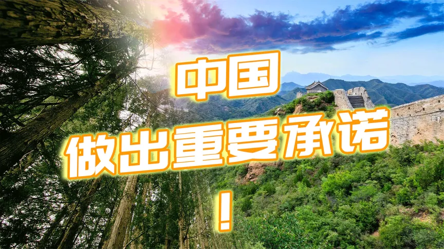 联合国气候峰会召开,中方作出承诺:2030年碳排放降至60%以上