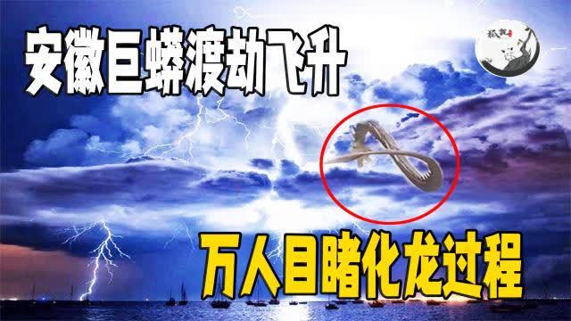 安徽巨蟒渡劫飞升,遭万雷轰顶,万人目睹30米长的蛇身蜕化成龙!
