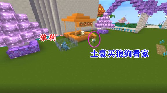 迷你世界:土豪每次出门都担心家中被盗,想买一只狼狗帮他看家!