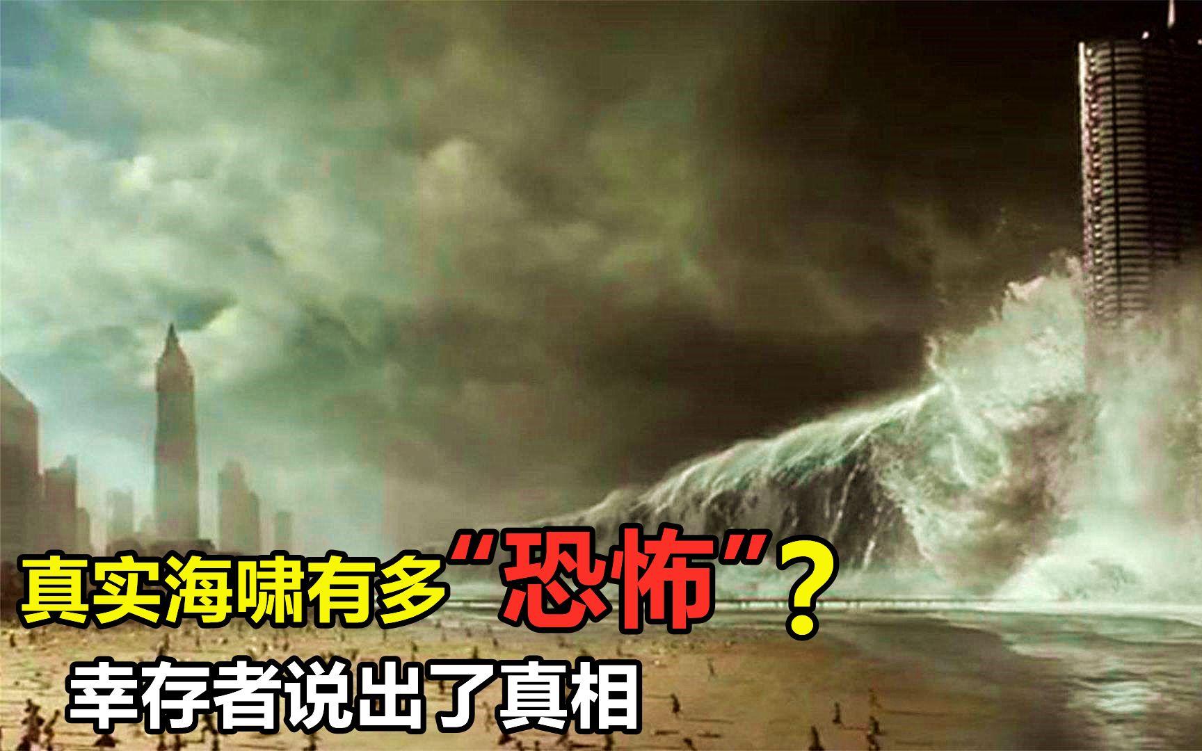 真实的海啸究竟有多可怕?一名经历海啸的幸存者说出了真相