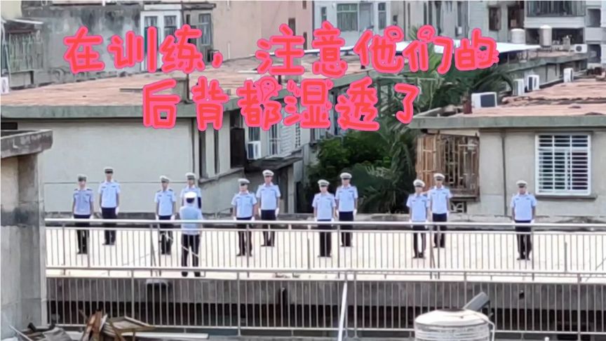 偶尔发现,旁边的交警小哥哥们,在训练车辆指挥手势,