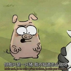 松狮嗷呜 