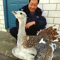 墨扇生活 