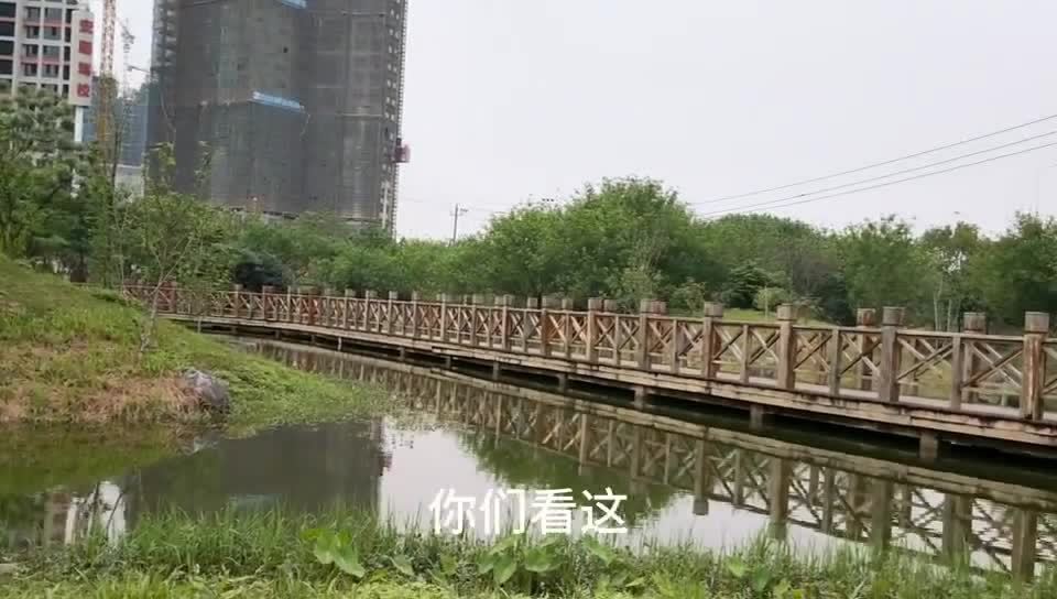 小学生在公园岛上拆叶罗丽卡片,两包都拆出卡