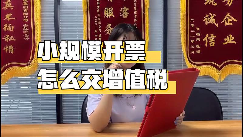 小规模开票怎么交增值税