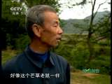 绿色时空 2011-05-08