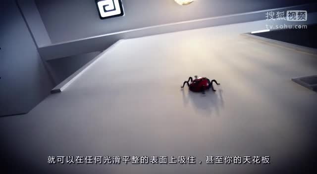 新型创意仿真模型玩具-鼠标遥控爬墙昆虫爬墙车