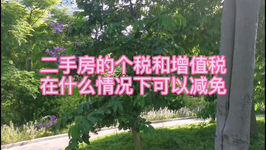 二手房的个税和增值税在什么情况下可以减免