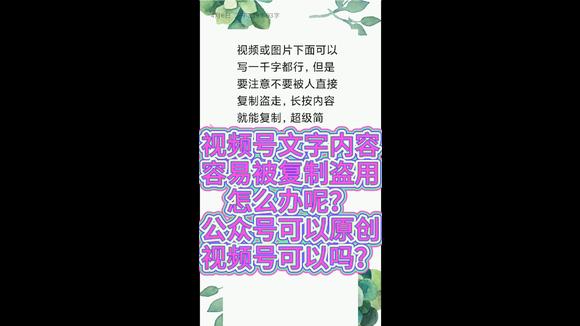视频号功能