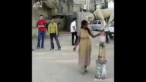 第一次看到狗狗表演的高难度杂技