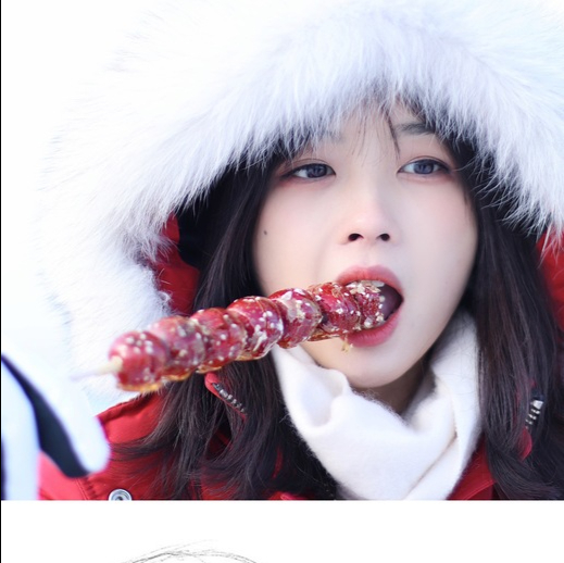 炸猪不要爬 