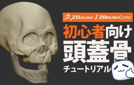 【ZBrush大讲堂】搬运生肉——人体头盖骨ZBrush雕刻