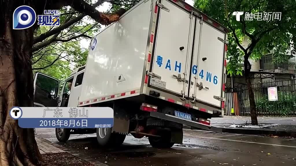货车被卡树下 进退两难险翻车