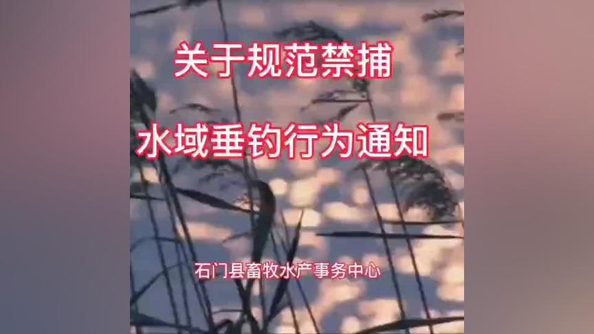 禁捕退捕,功在当代,利在千秋!
