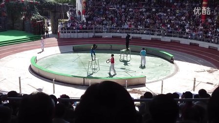上海野生动物园表演1trim.7PQR0T.MOV