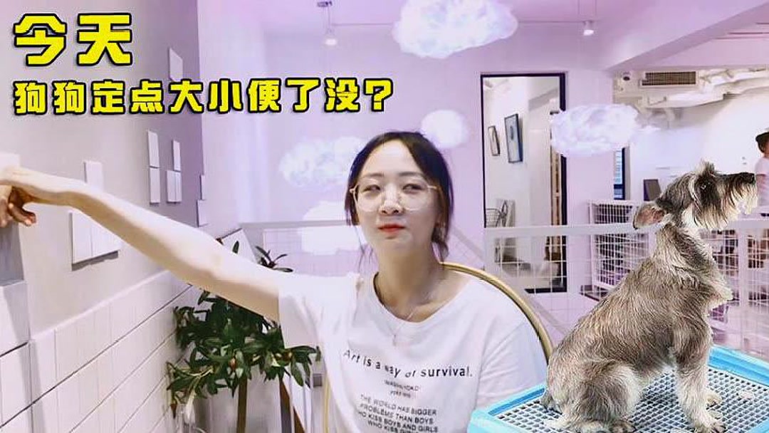 教狗狗定点大小便，十个人有九个都错了，这些错误你犯了吗？