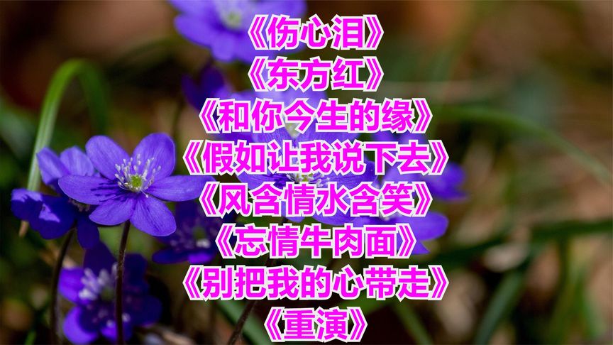 {伤心泪}{东方红}{和你今生的缘}{假如让我说下去}