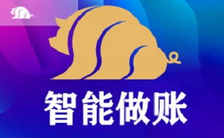 财务记账软件公司找谁靠谱?,财务记账软件公司哪家公司比较好?
