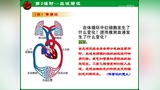 初中生物:血液循环(微视频)