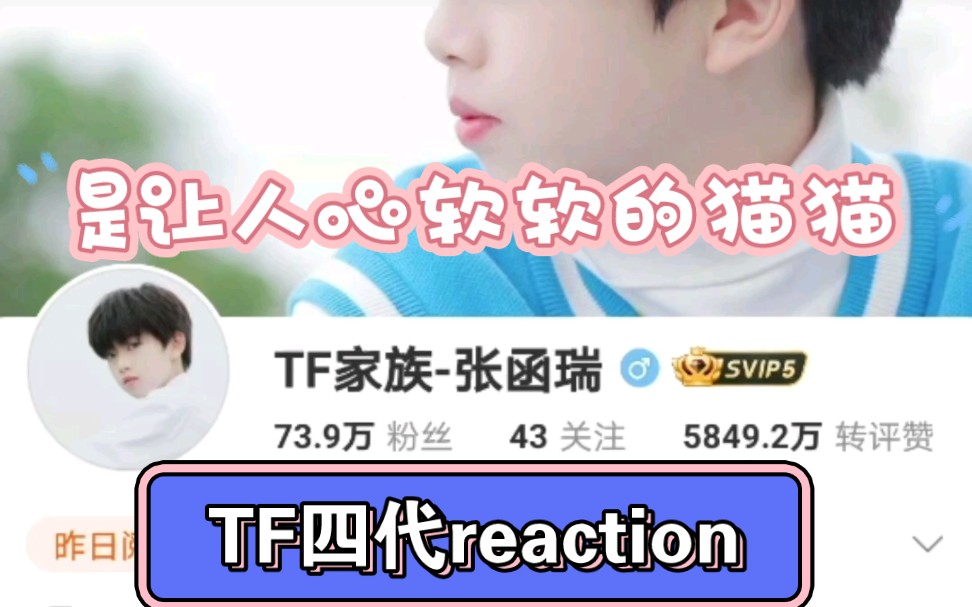 【TF四代reaction】微博篇:张函瑞01_第一次看weibo猫猫真的让人心...