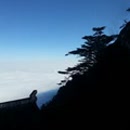 fcsyhj6026 