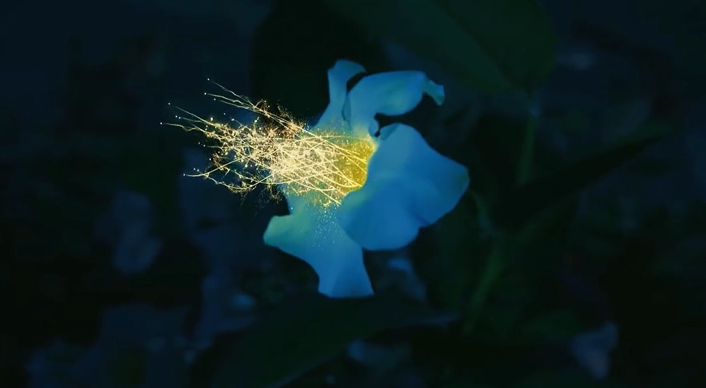 艺术家们运用最新的3D投影技术在真实的森林里上演一场绘声绘色的...