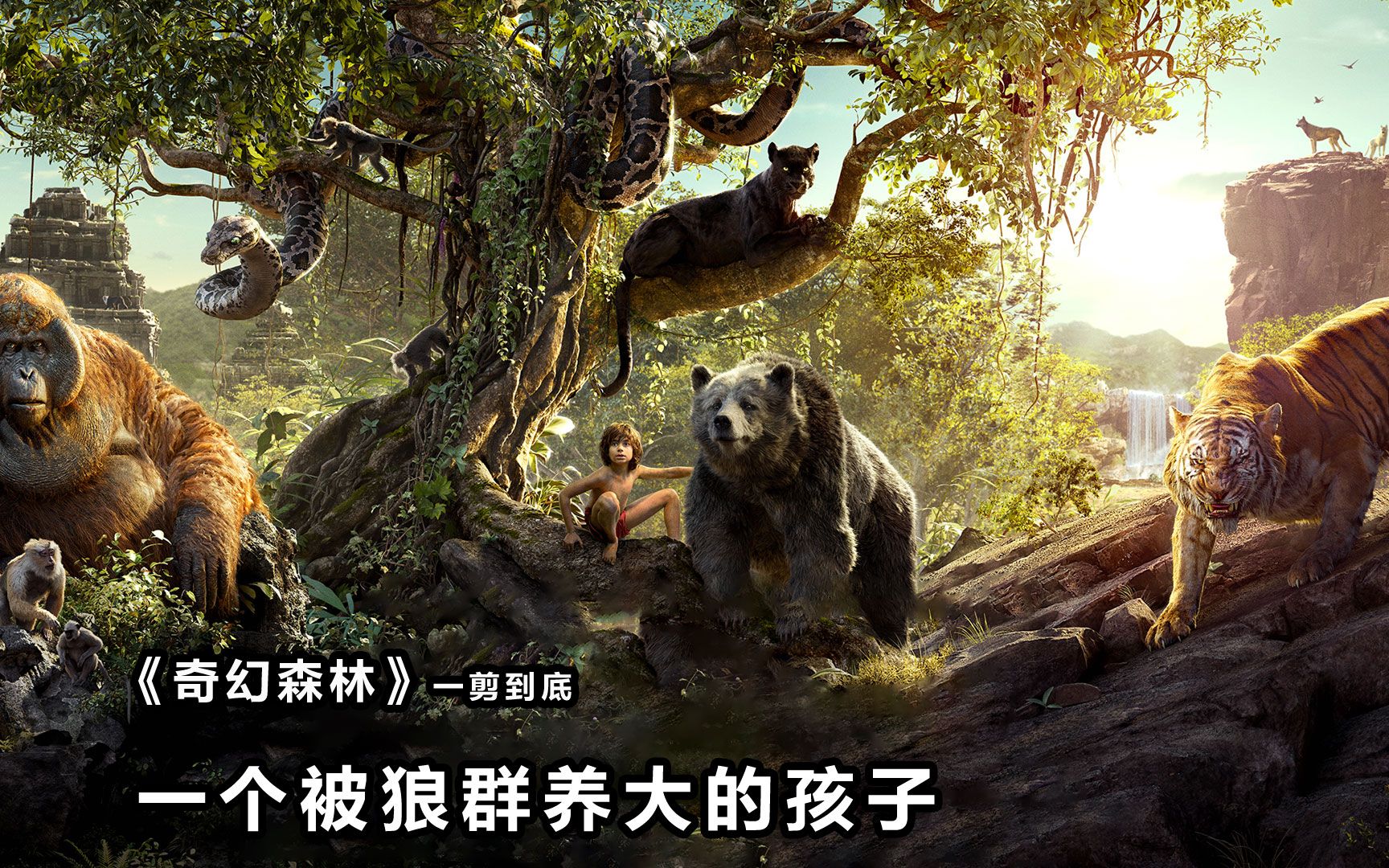 奇幻森林-谢利·可汗对男孩展开了无休止的追杀