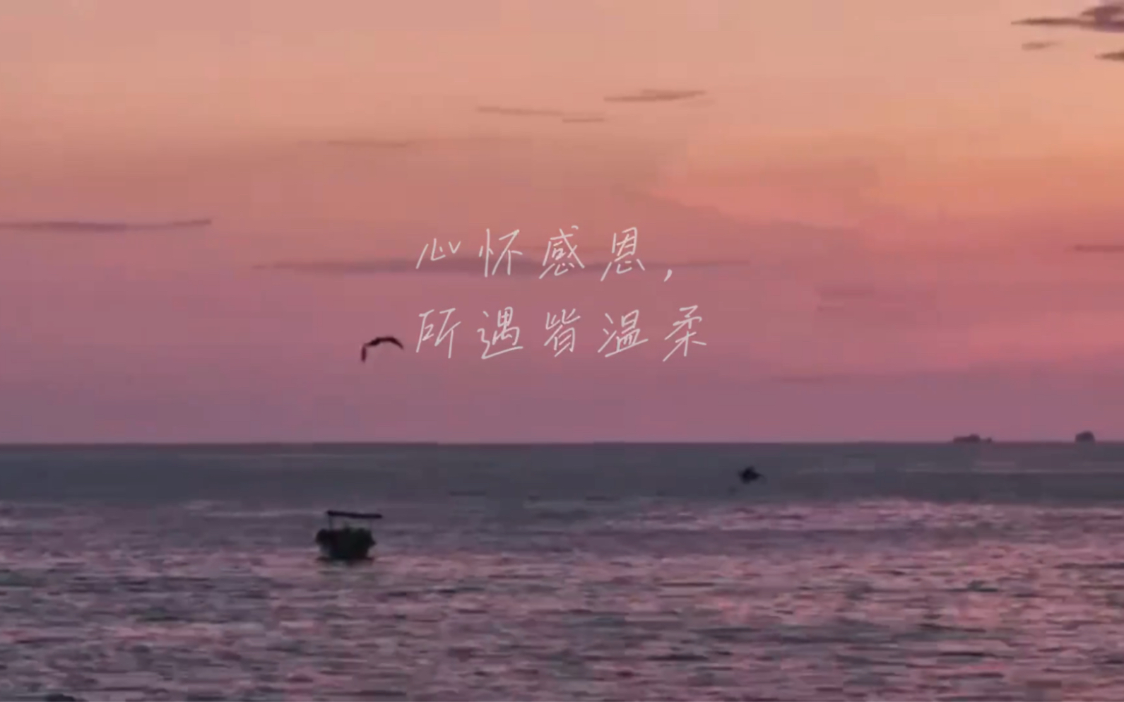 感恩节暖心文案视频