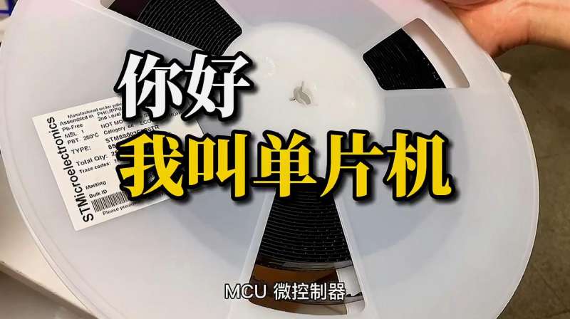 你好我叫单片机 MCU微控制器