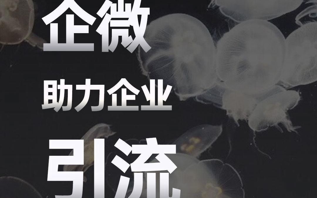 企业微信是如何助力企业引流获客,扩充客户池?