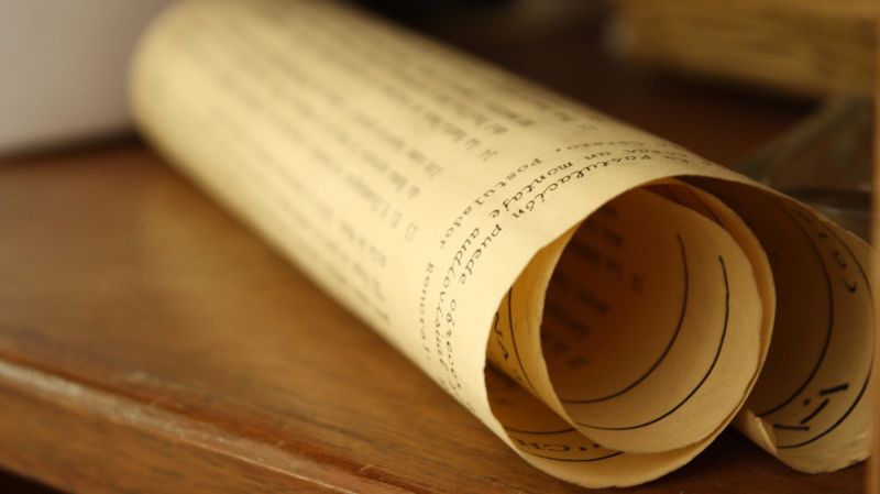 羊皮纸不都是羊皮做的?科学家采集样本后发现惊天真相!