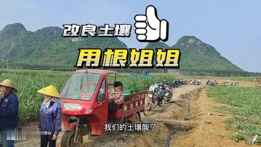 如何使用土壤改良剂才能发挥出更好产品性能?