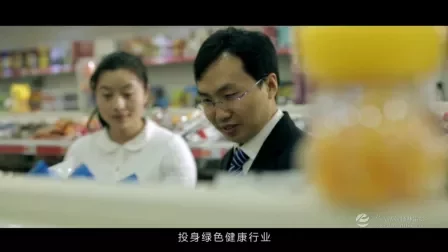 洪战辉个人微记录影片_x264