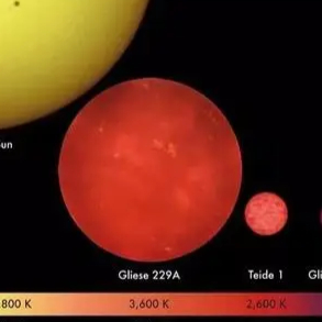 Gliese_229 
